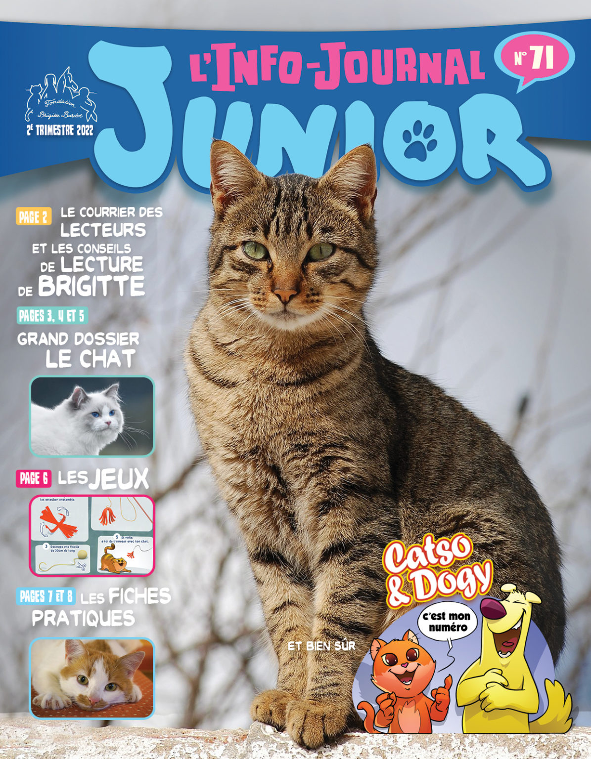 Le chat - L'info-journal Junior